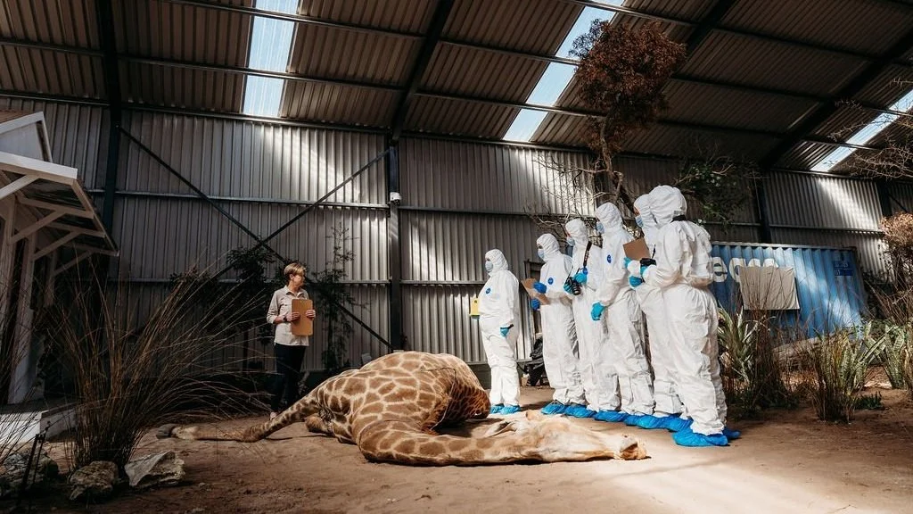 1-Day Wildlife Forensic Experience — Wildlife Forensic Academy