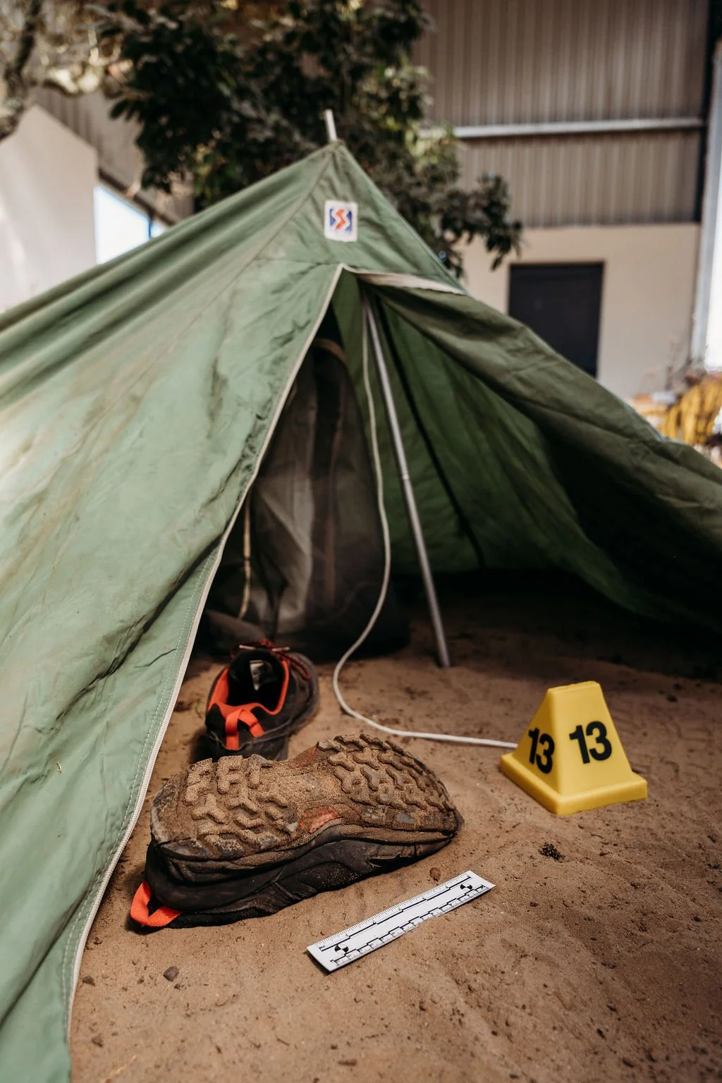 1 Day Wildlife Forensic Experience For Kids — Wildlife Forensic Academy