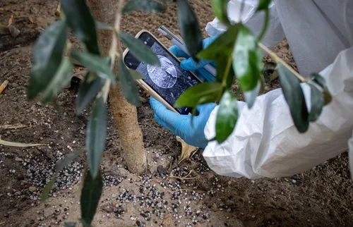 Wildlife Forensic Research — Wildlife Forensic Academy