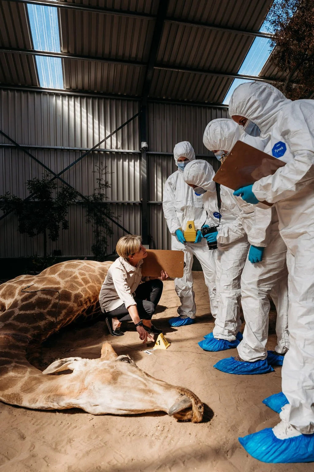 Avian Forensics Course — Wildlife Forensic Academy