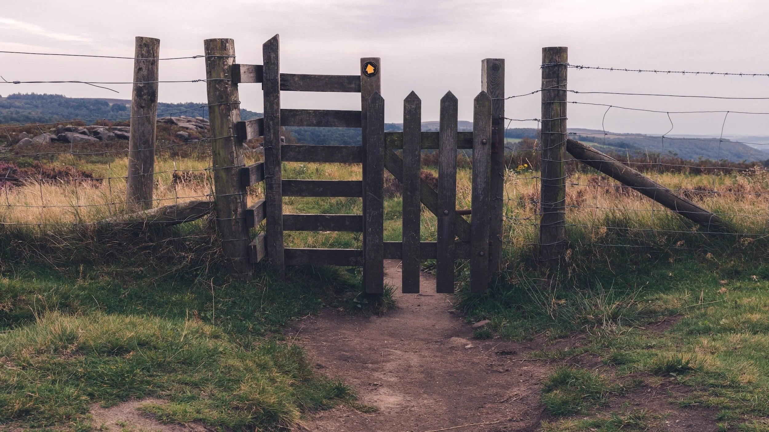 The Gate of the Year — LCSD