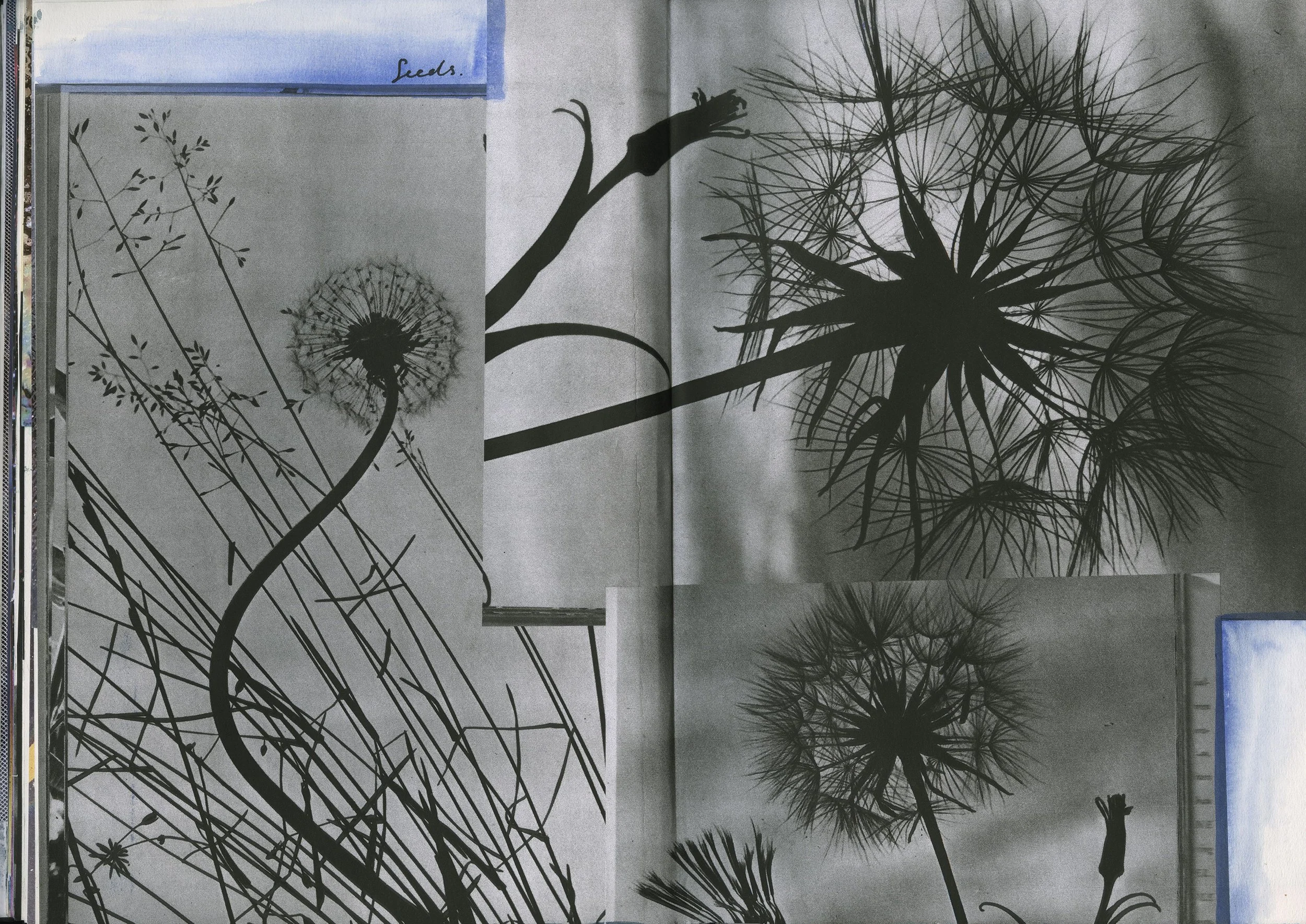 MAKING — James Stopforth Photographer