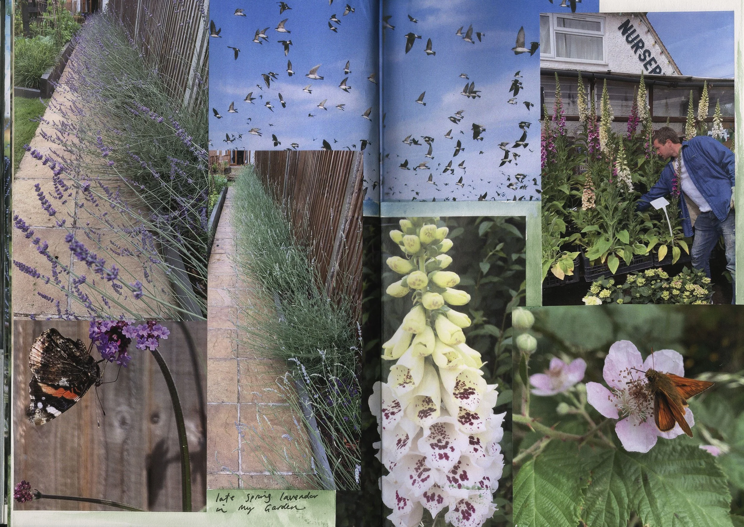 MAKING — James Stopforth Photographer