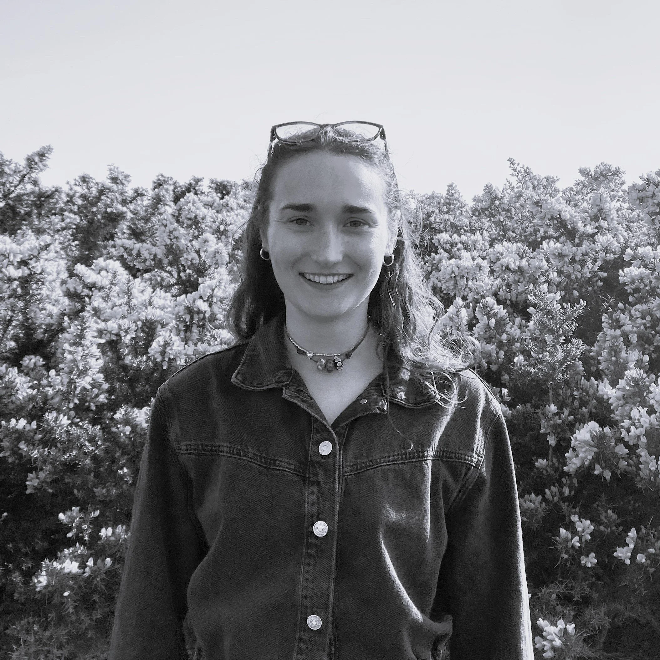 Our Team — Gower Chiropractic Centre