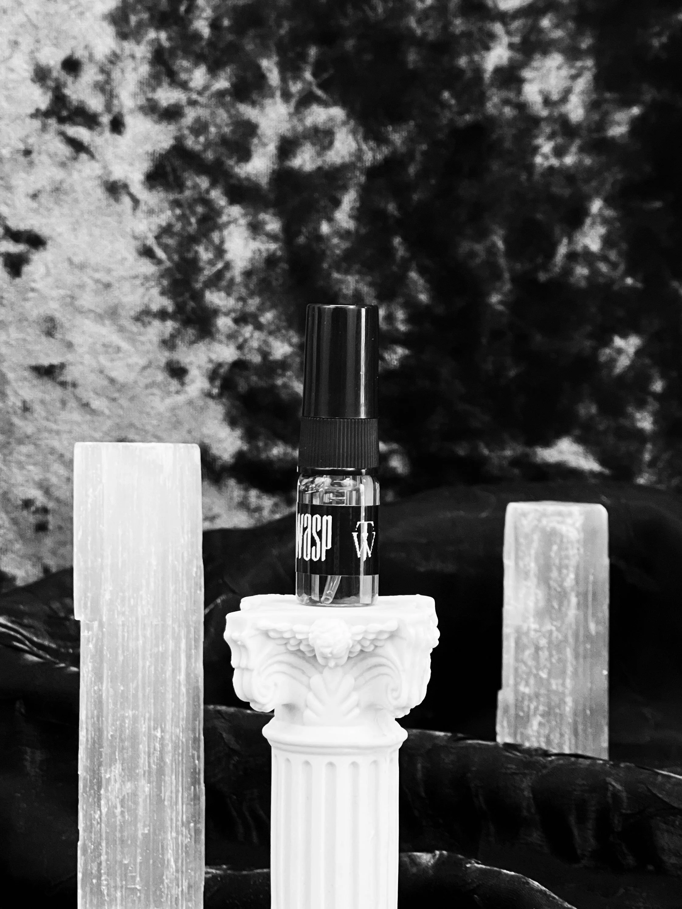 Morosexual — Treading Water Perfume