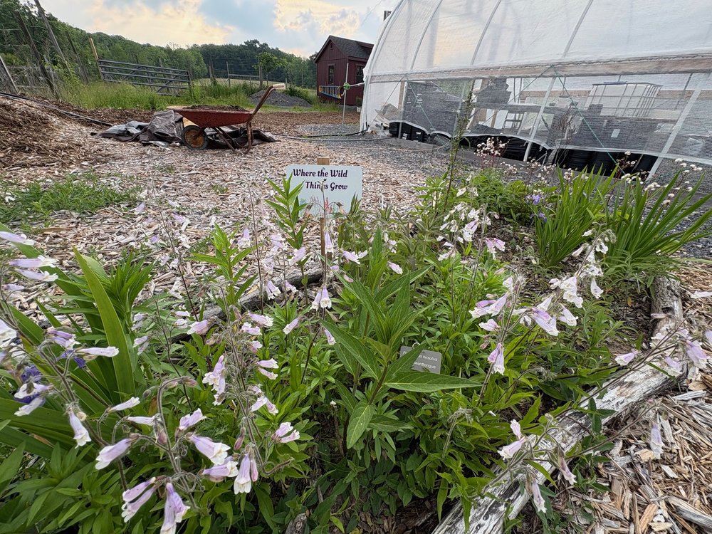 About IMAGINE Native Plant Farm — Home Earth Alliance