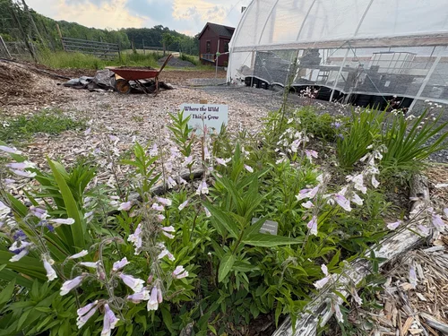About IMAGINE Native Plant Farm — Home Earth Alliance