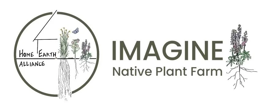 About IMAGINE Native Plant Farm — Home Earth Alliance