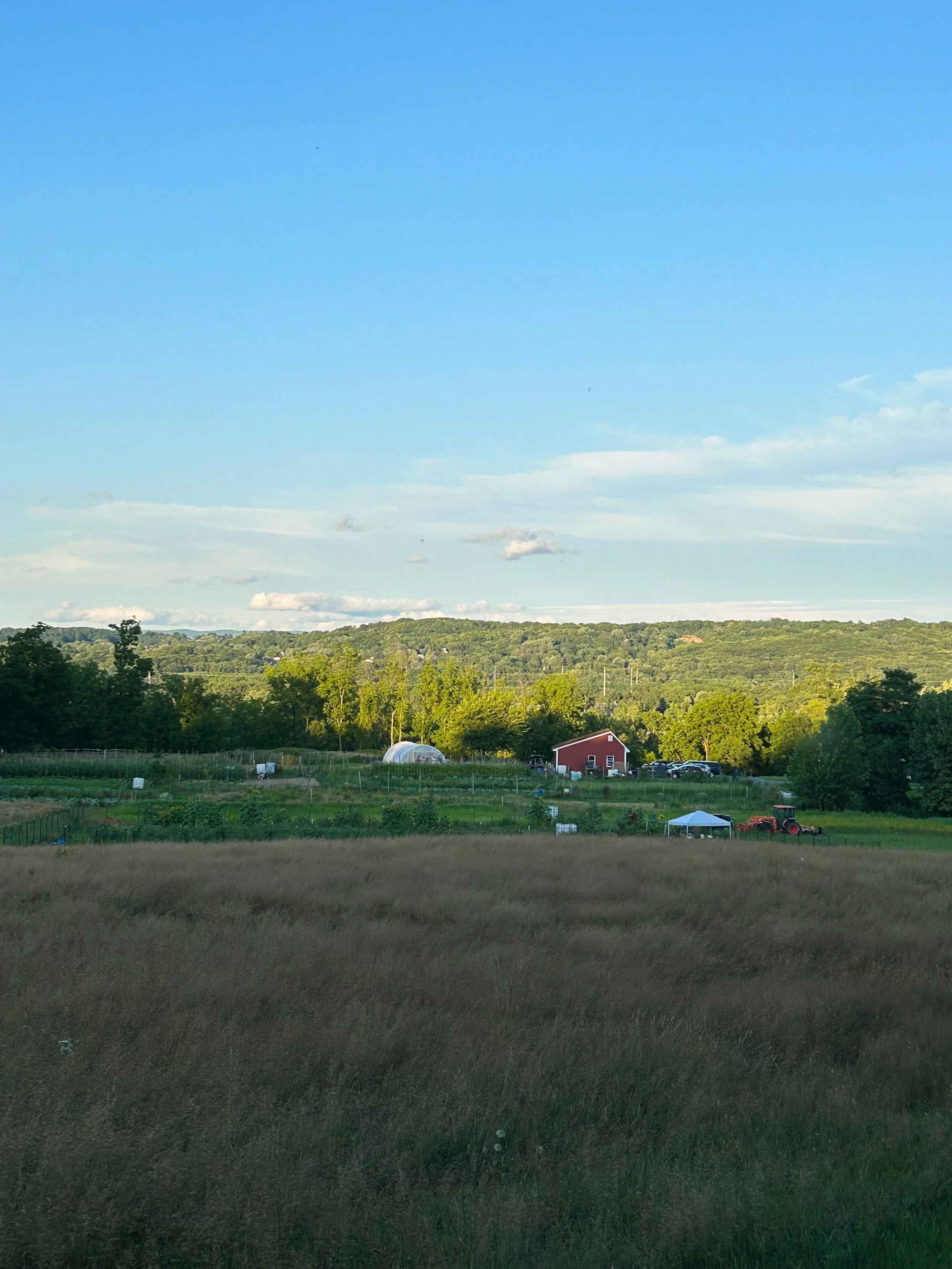 About IMAGINE Native Plant Farm — Home Earth Alliance