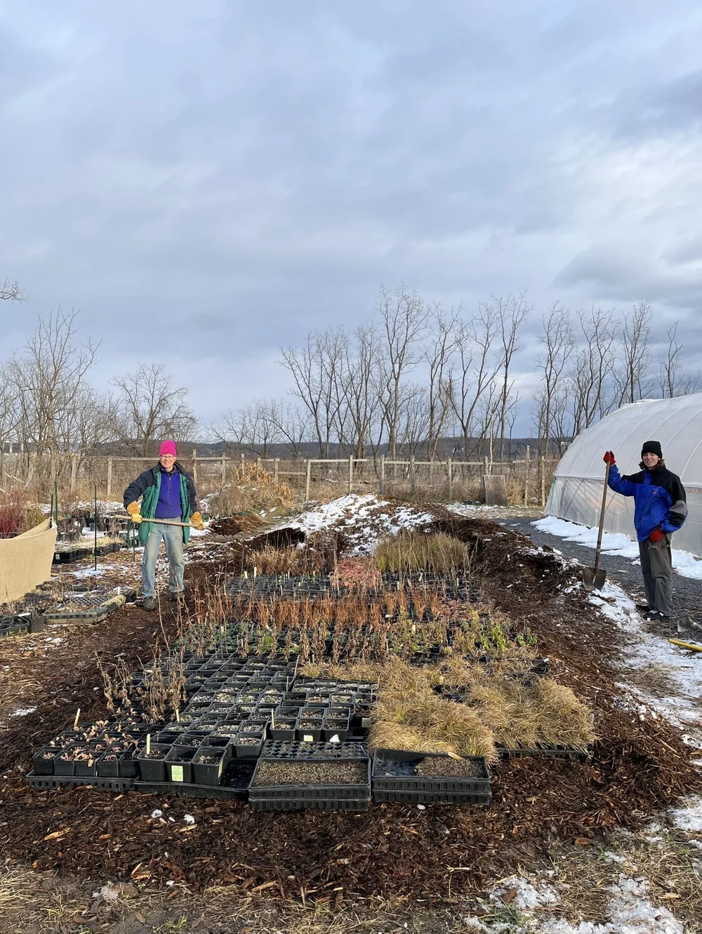 About IMAGINE Native Plant Farm — Home Earth Alliance