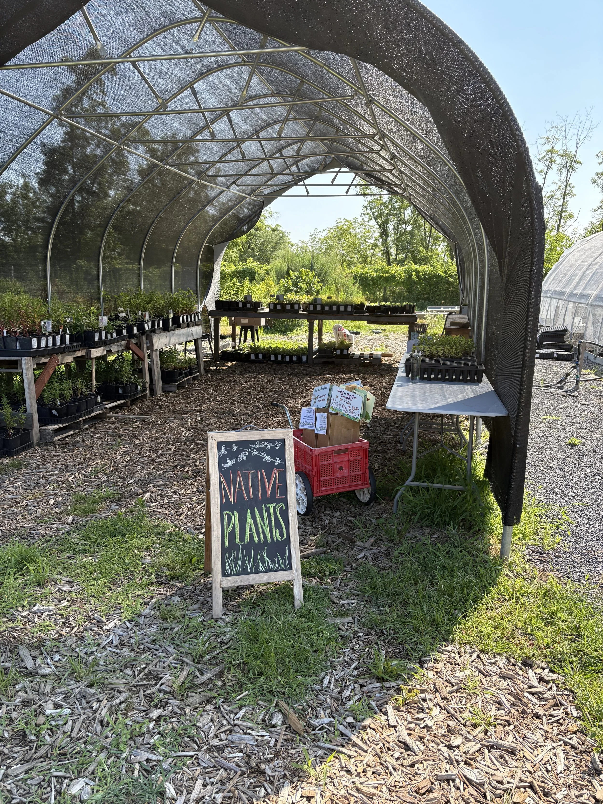 About IMAGINE Native Plant Farm — Home Earth Alliance