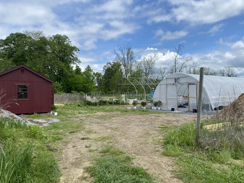 About IMAGINE Native Plant Farm — Home Earth Alliance