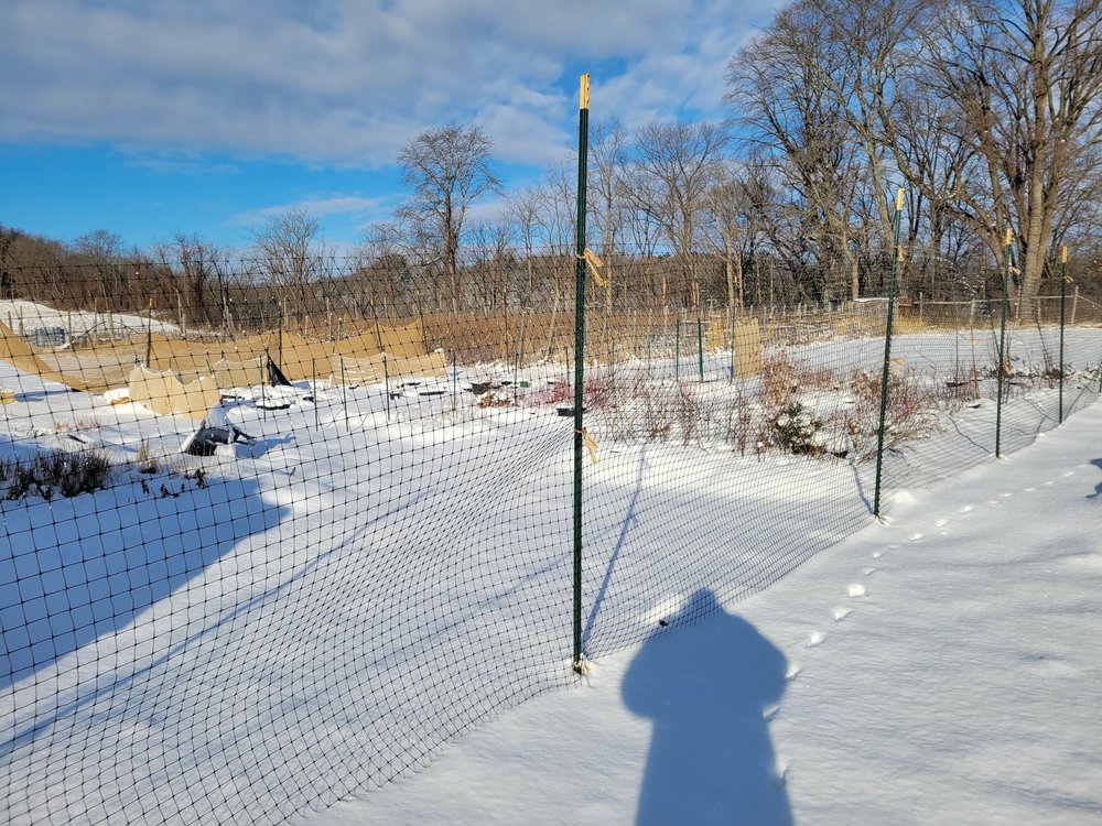 About IMAGINE Native Plant Farm — Home Earth Alliance