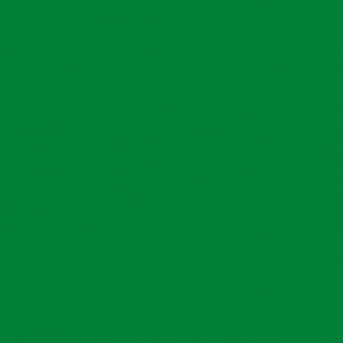 That One Guy Tree Service