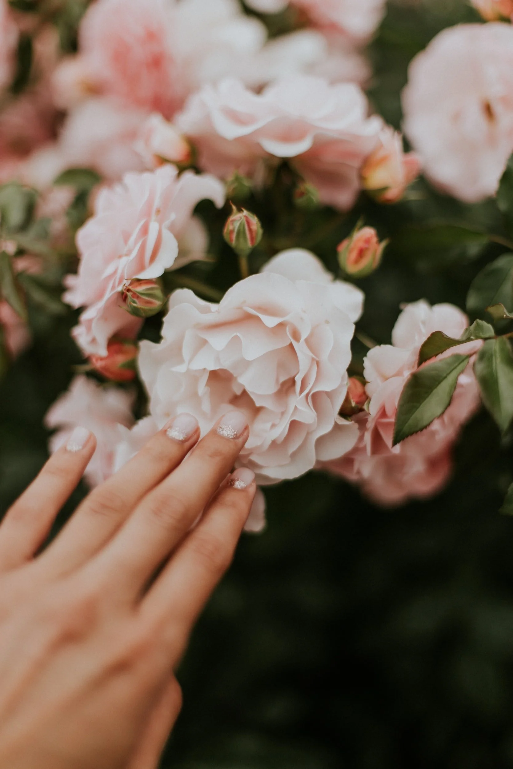 The Nail Story l HOBOKEN Best Nail Salon