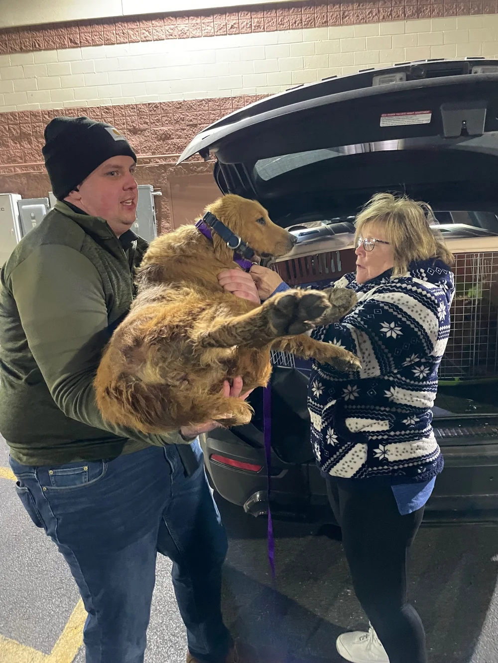 GRRoM Collaboration with GRRR on Toledo Rescue Effort — Golden ...