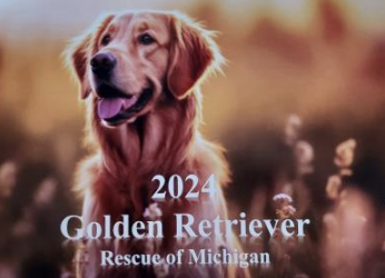 GRRoM Calendar Hiatus for 2025 — Golden Retriever Rescue of Michigan
