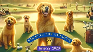 Golfing for Goldens 2026 — Golden Retriever Rescue of Michigan