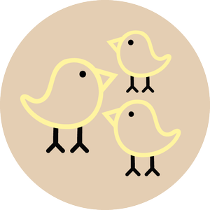 About 3 Little Chicks — 3 Little Chicks