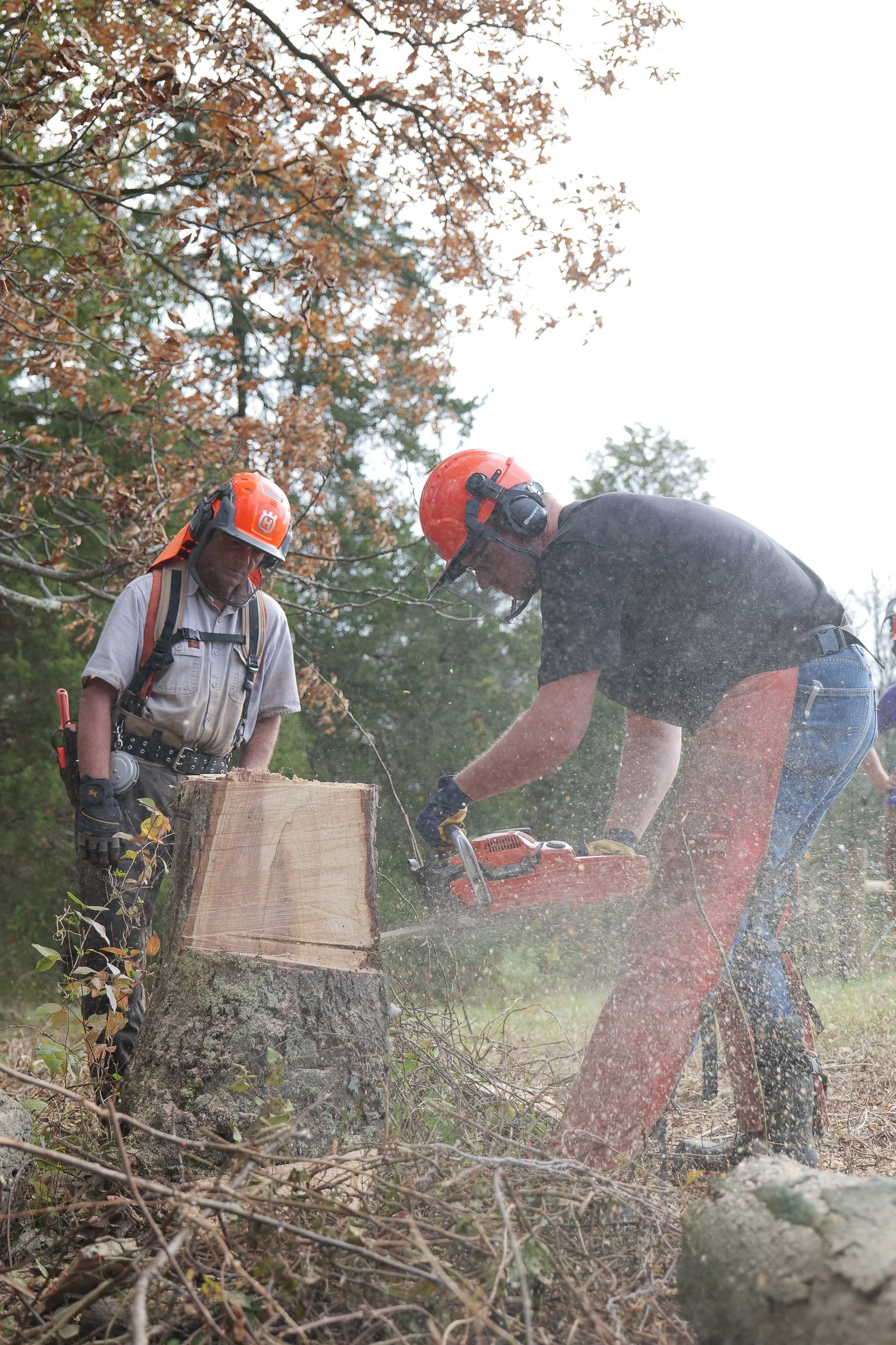 Workshops, Courses, and Field Days — The Berry Center Farm & Forest ...