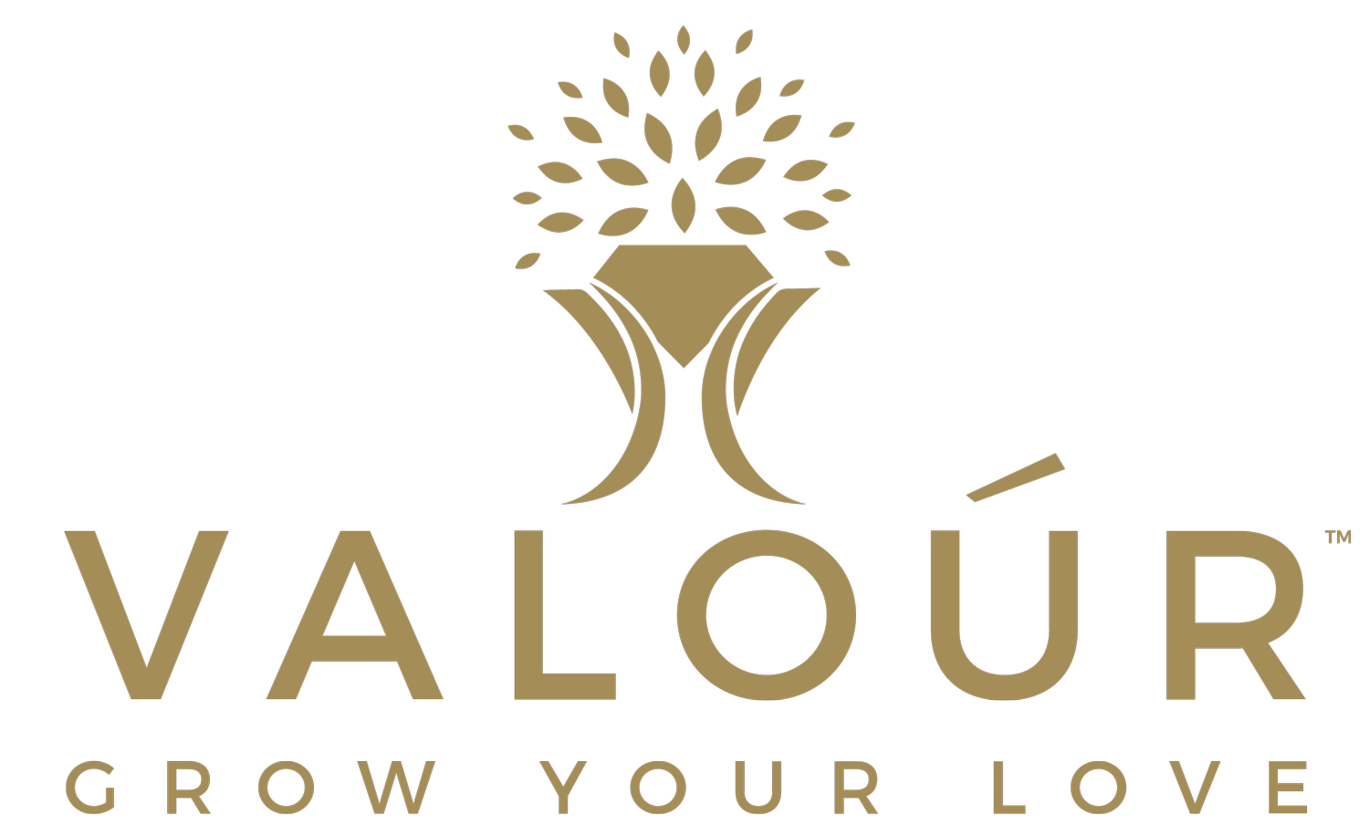 Valour Diamonds