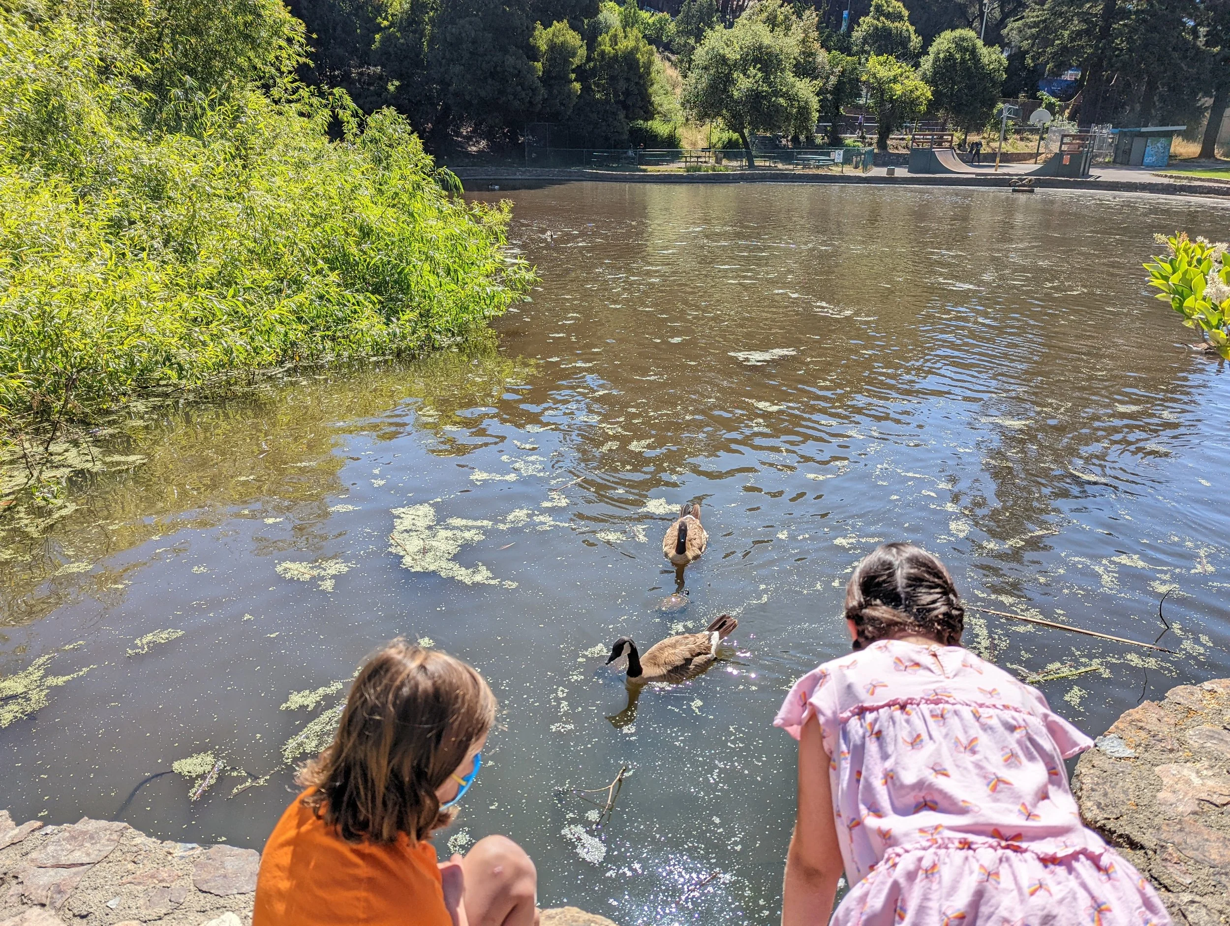 Embracing Autism Collaborative Services