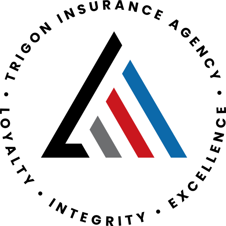 About 1 — TRIGON INSURANCE AGENCY