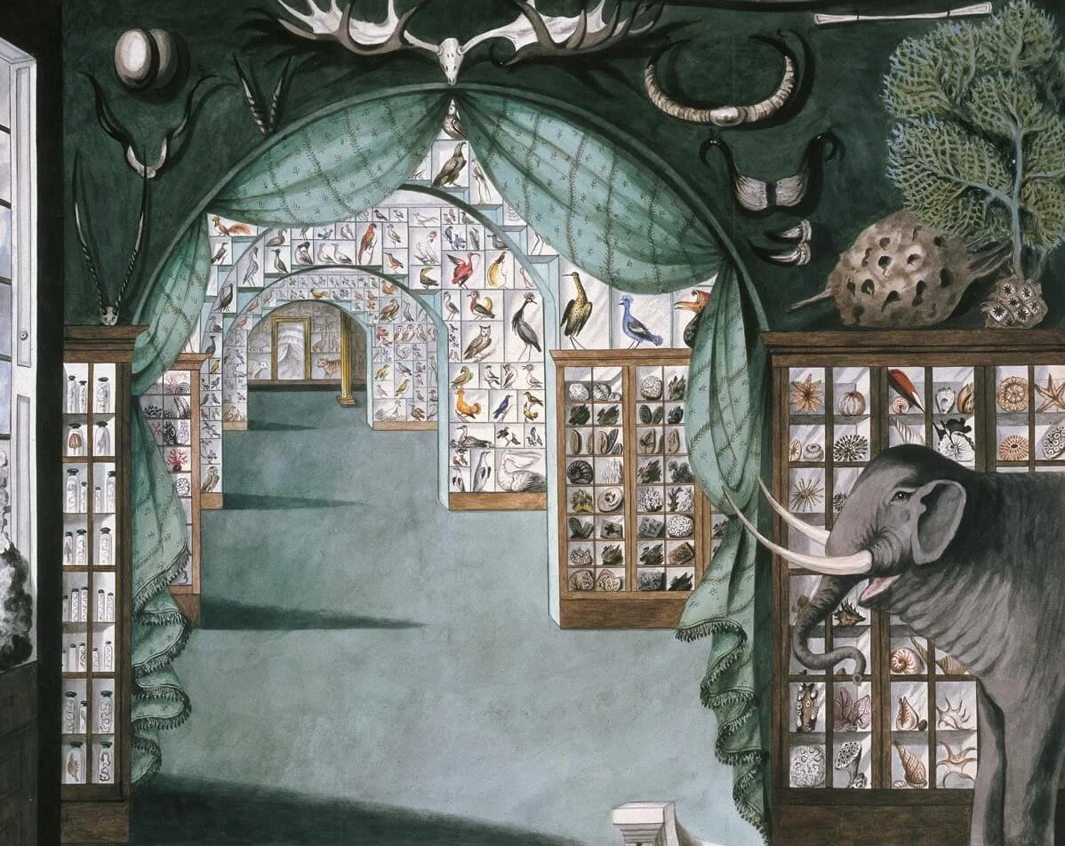 What is a Wonder Room? — WonderWorks