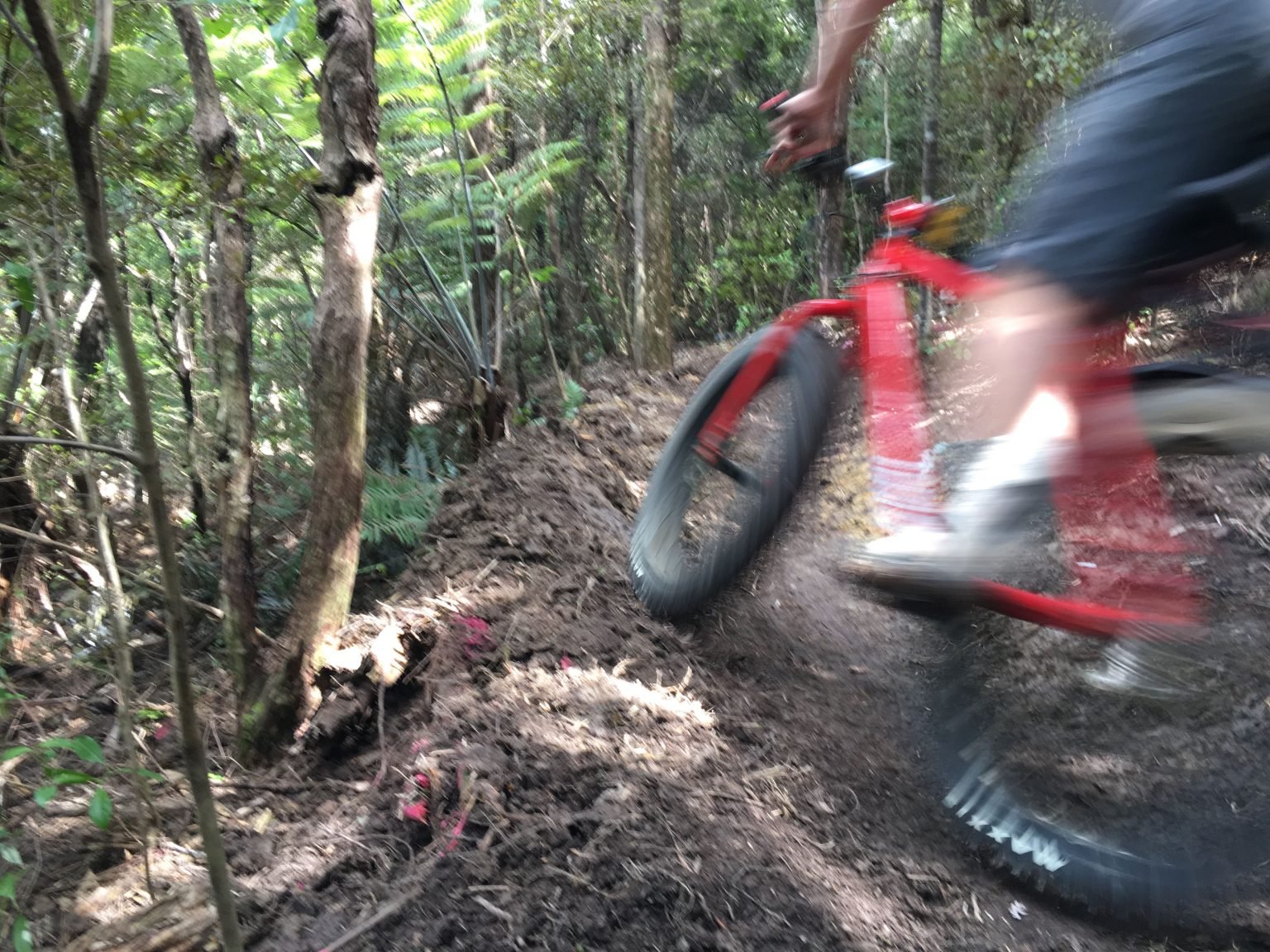 Bike Paths and Trails — Make Tracks