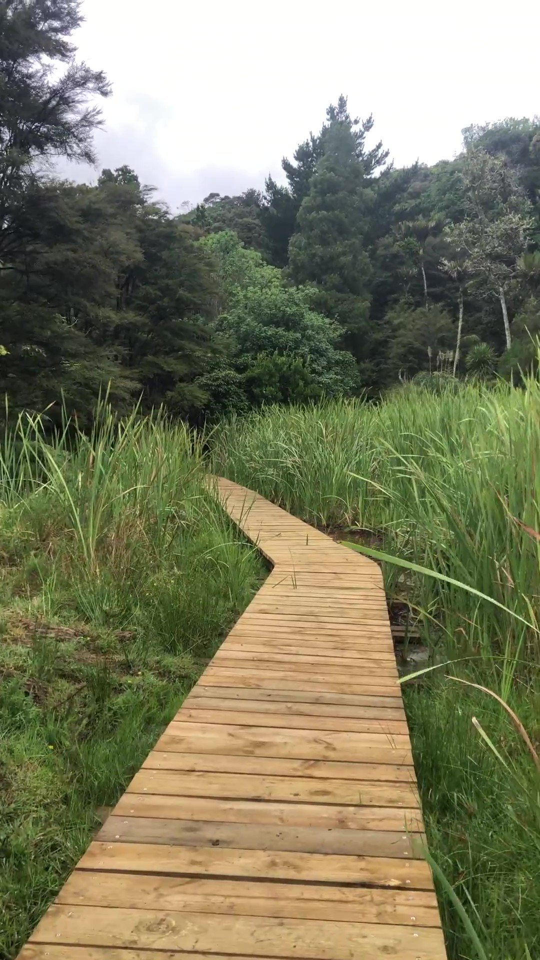 Landscaping Features — Make Tracks