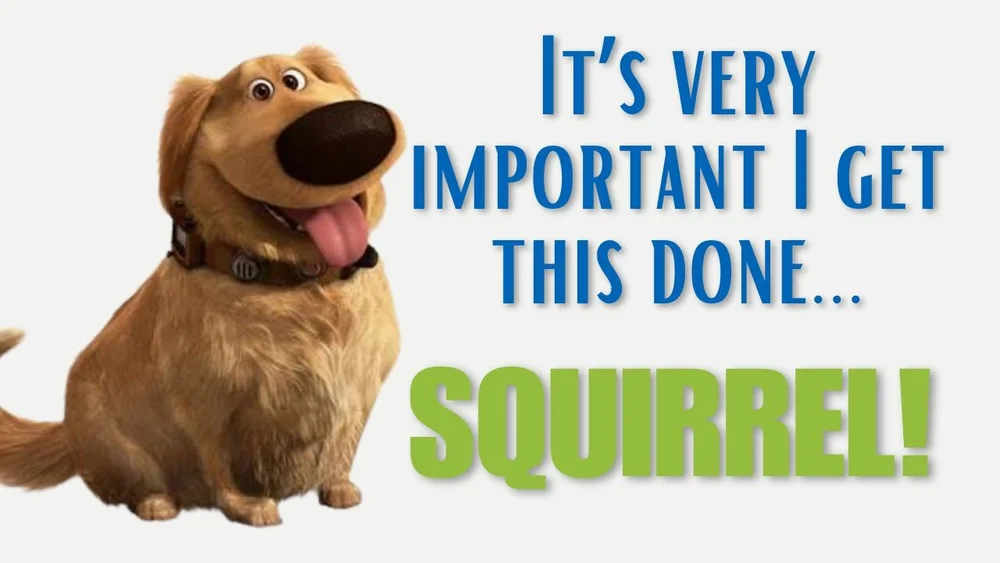Stop Chasing “Squirrels” — Grandview, MO Chamber of Commerce