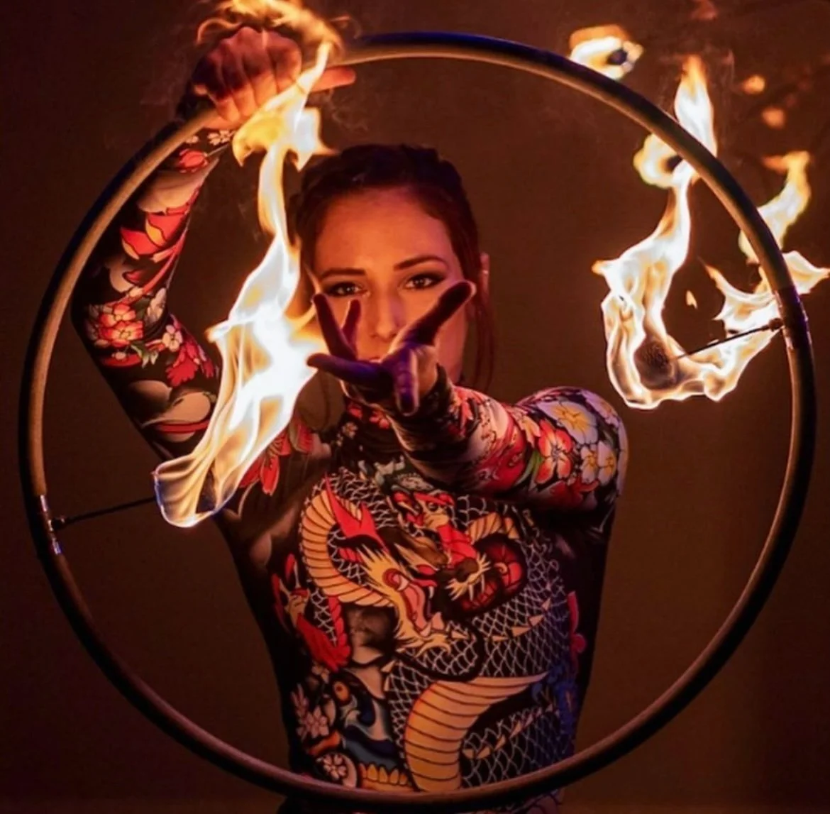 Aerial Dragons Studios | Aerial Arts | Tampa Bay | Home