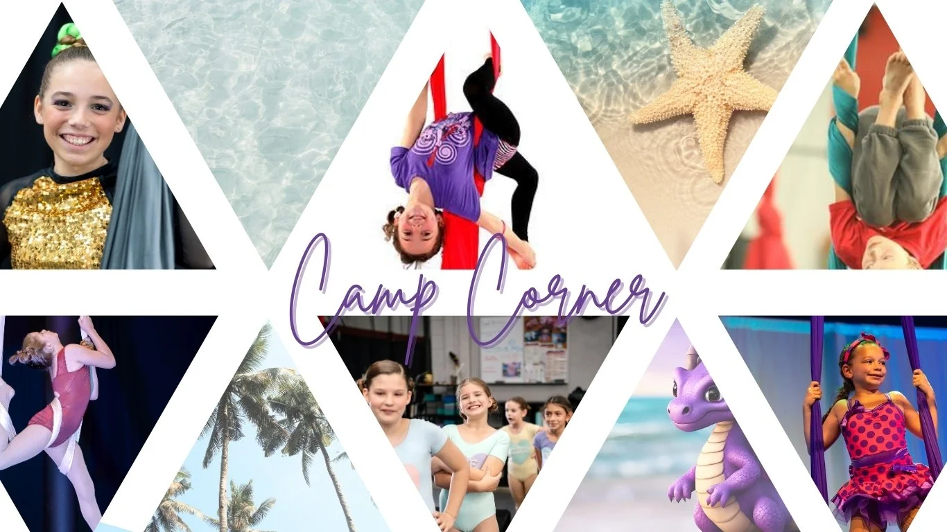 Aerial Dragons Studios | Aerial Arts | Tampa Bay | Home