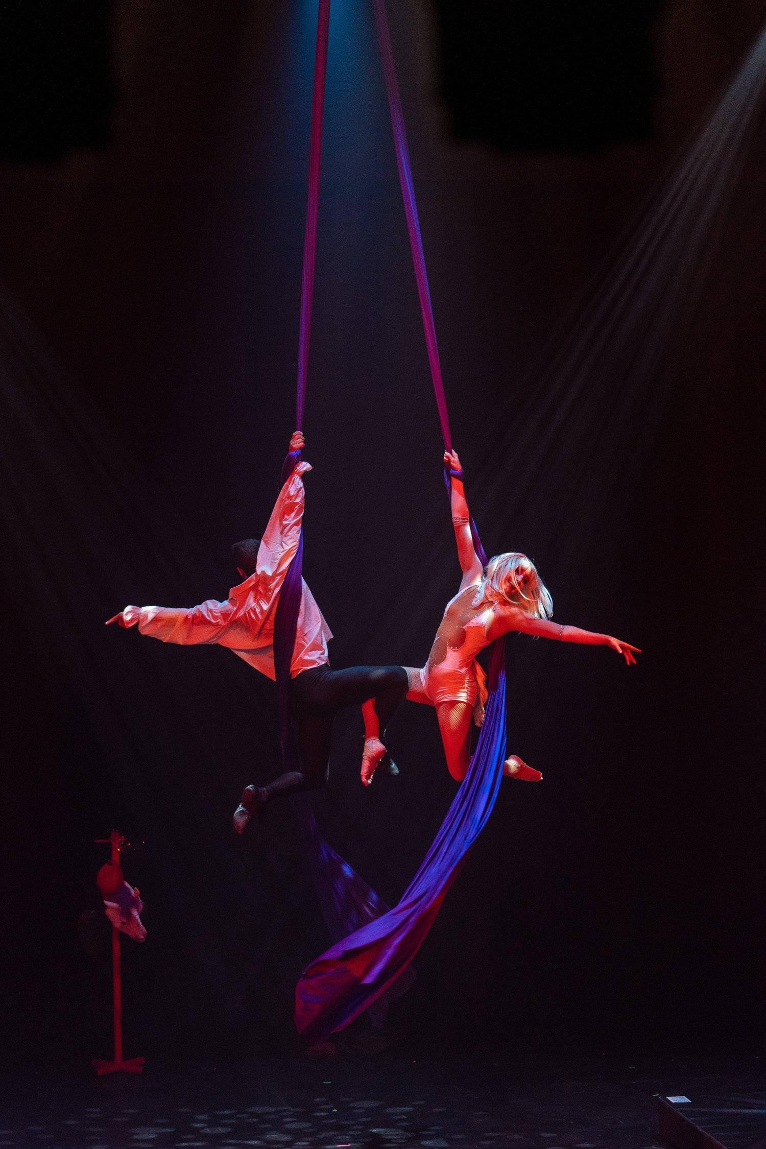 Aerial Dragons Studios | Aerial Arts | Tampa Bay | Home