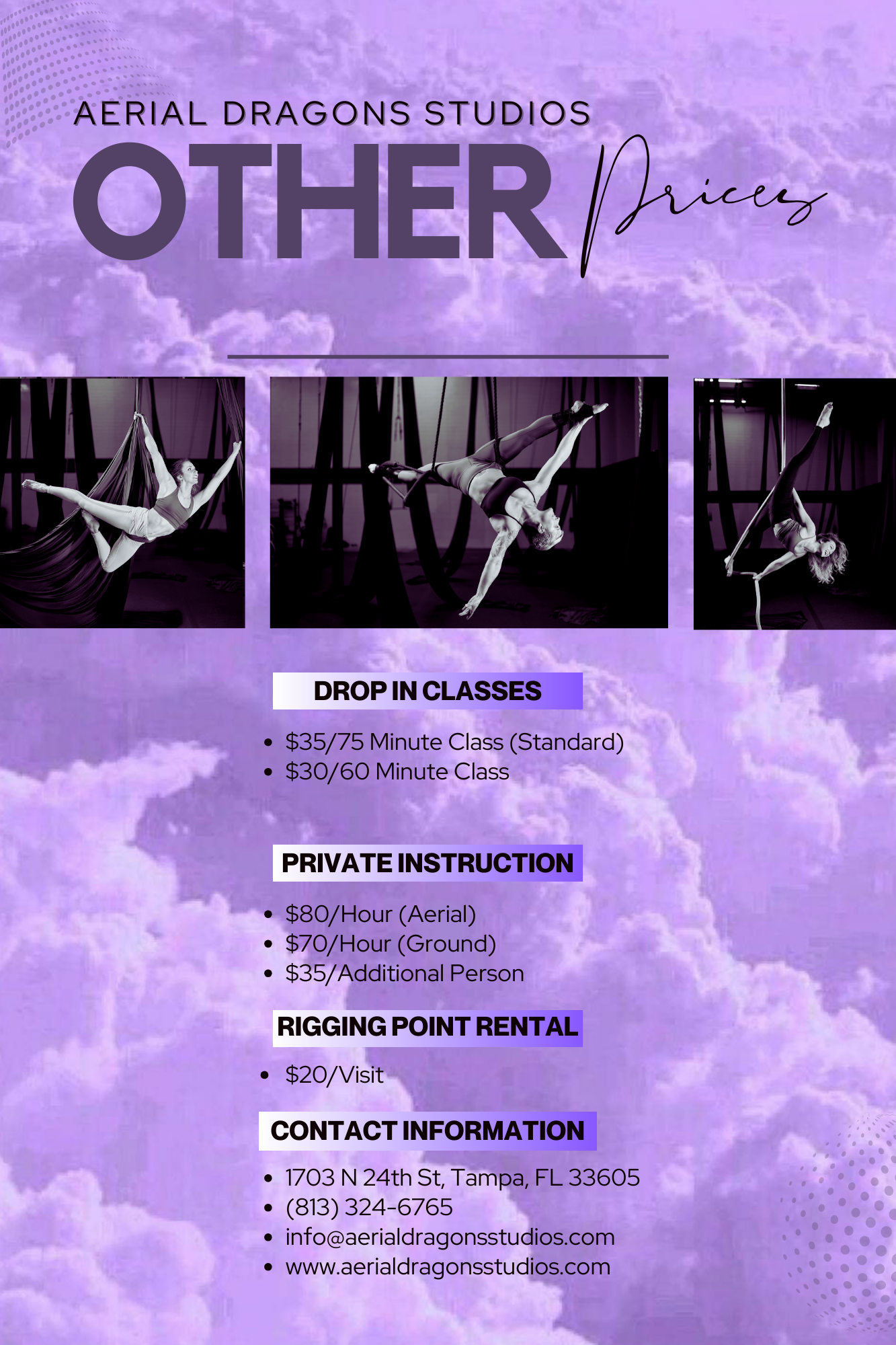 Memberships — Aerial Dragons Studios | Aerial Arts | Tampa Bay