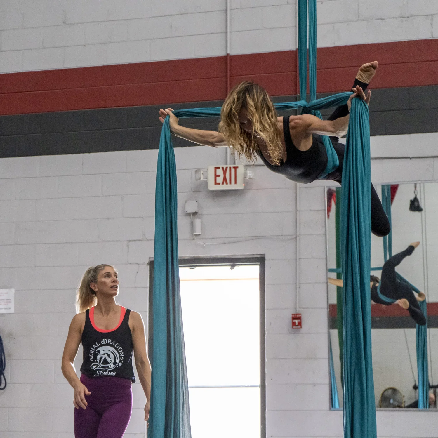 Aerial Dragons Studios | Aerial Arts | Tampa Bay | Home
