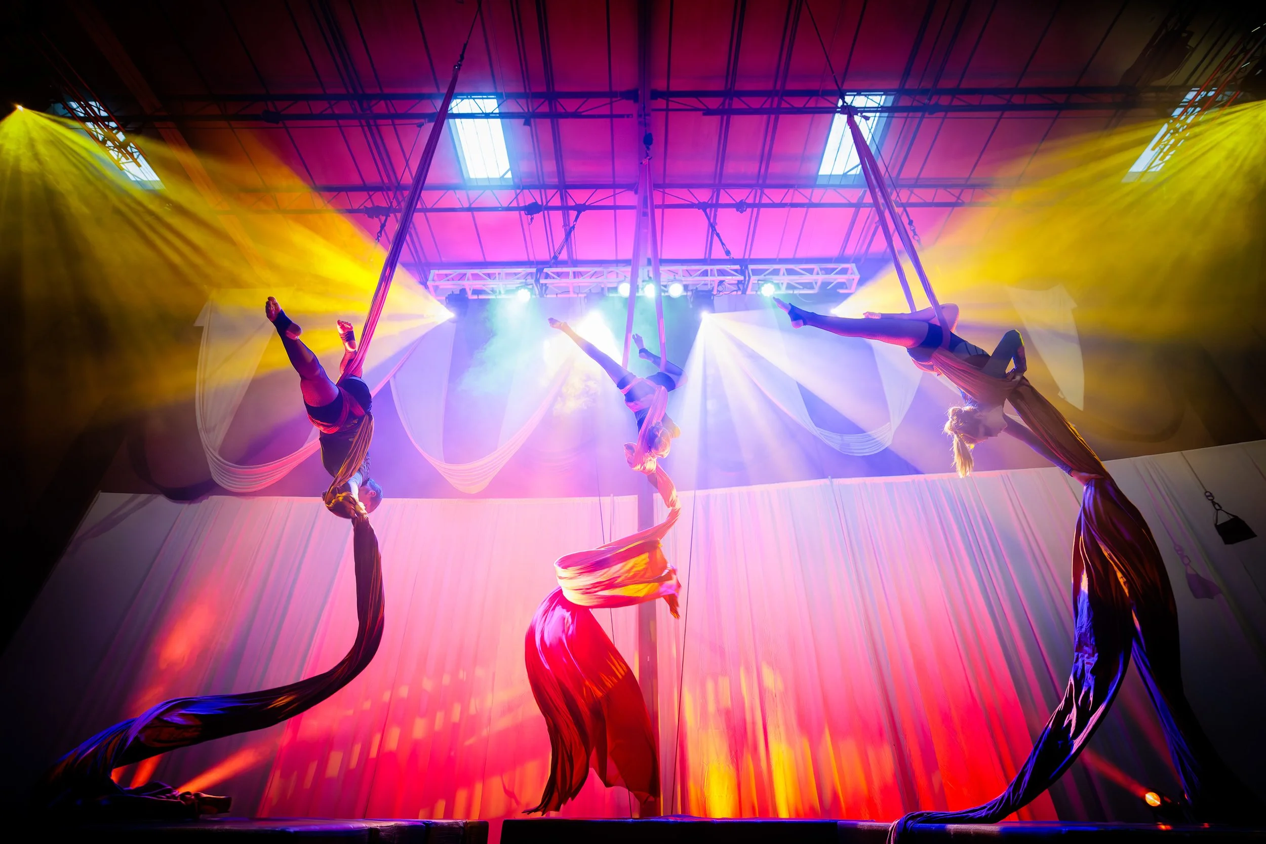 Gift Cards — Aerial Dragons Studios | Aerial Arts | Tampa Bay