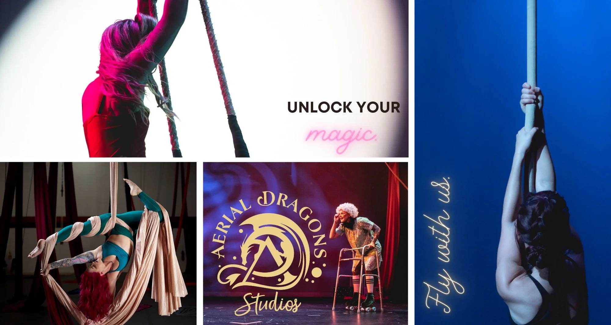 Memberships — Aerial Dragons Studios | Aerial Arts | Tampa Bay