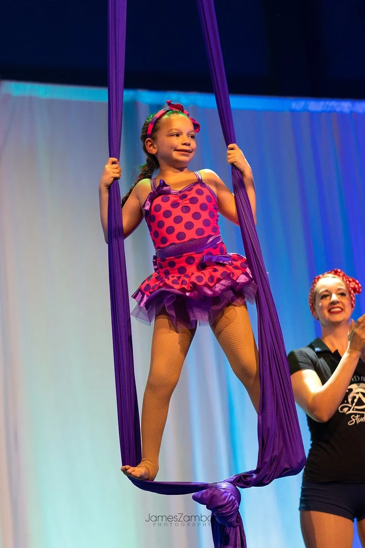 Aerial Dragons Studios | Aerial Arts | Tampa Bay | Home