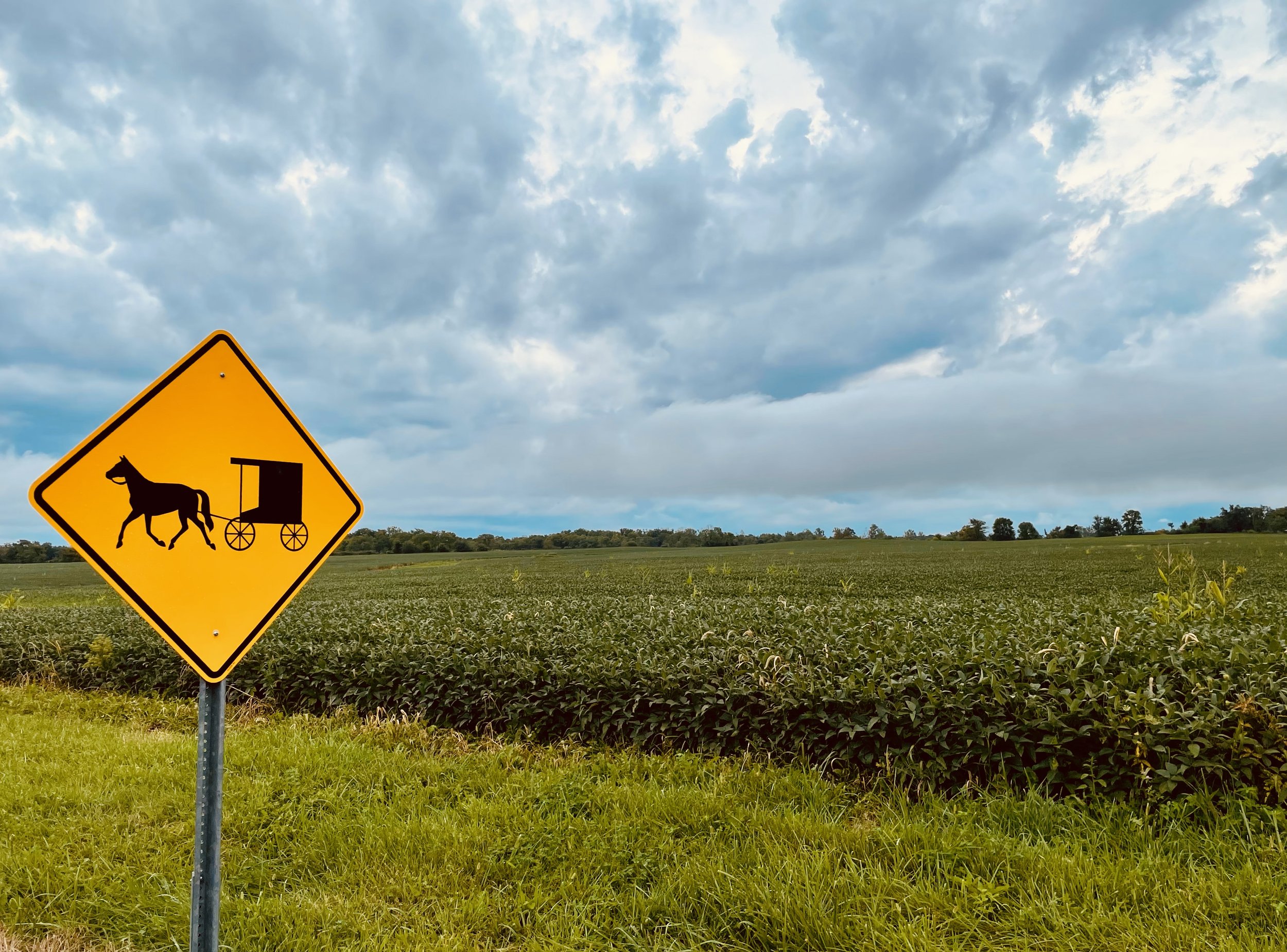 Justice in Amish Country