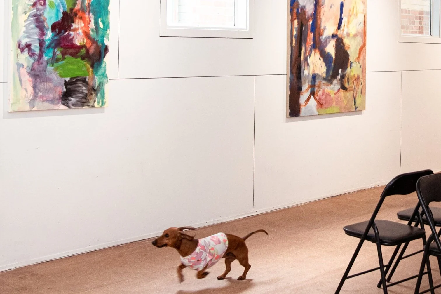 support — Unassigned Gallery