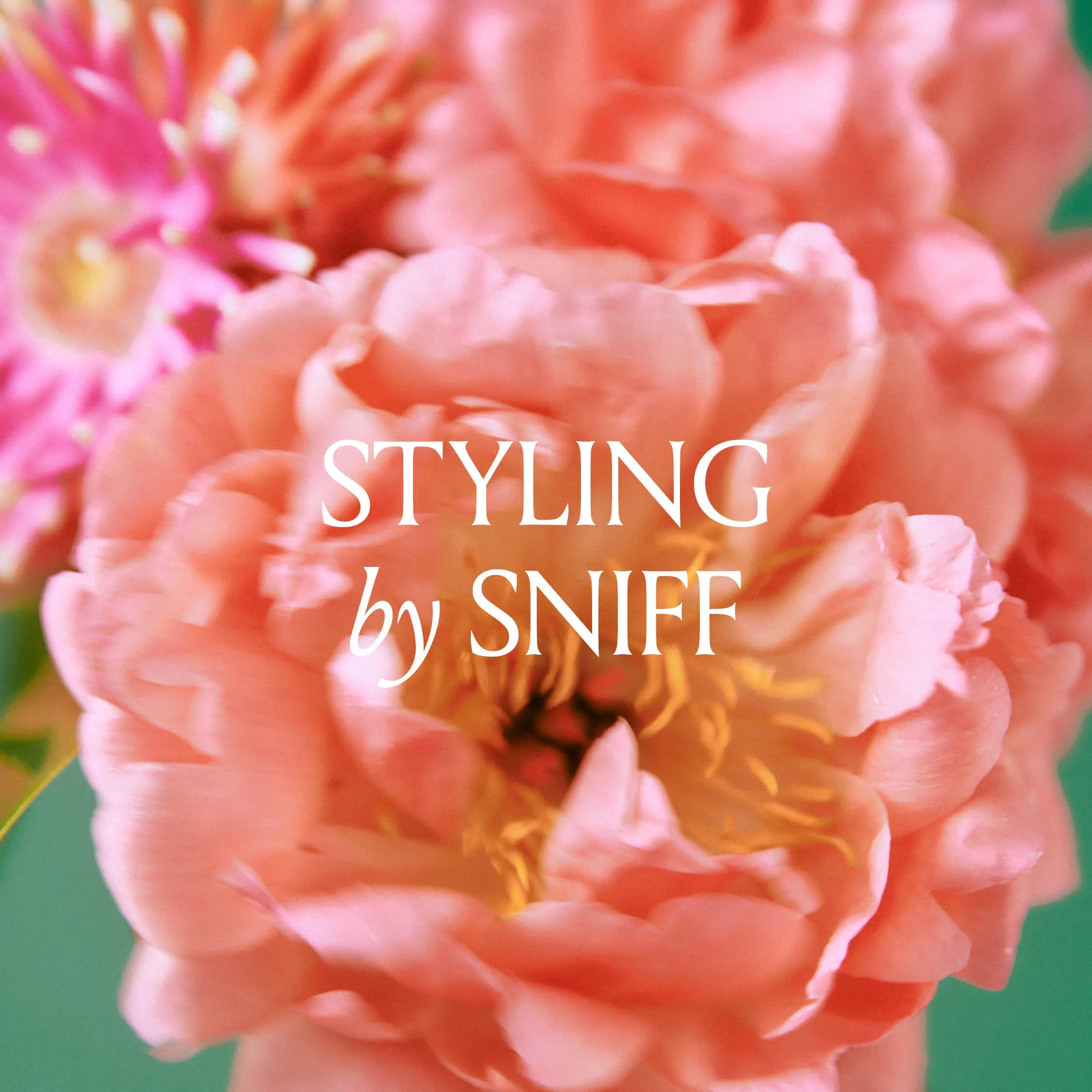 Sniff Flowers | Hawke's Bay Florist