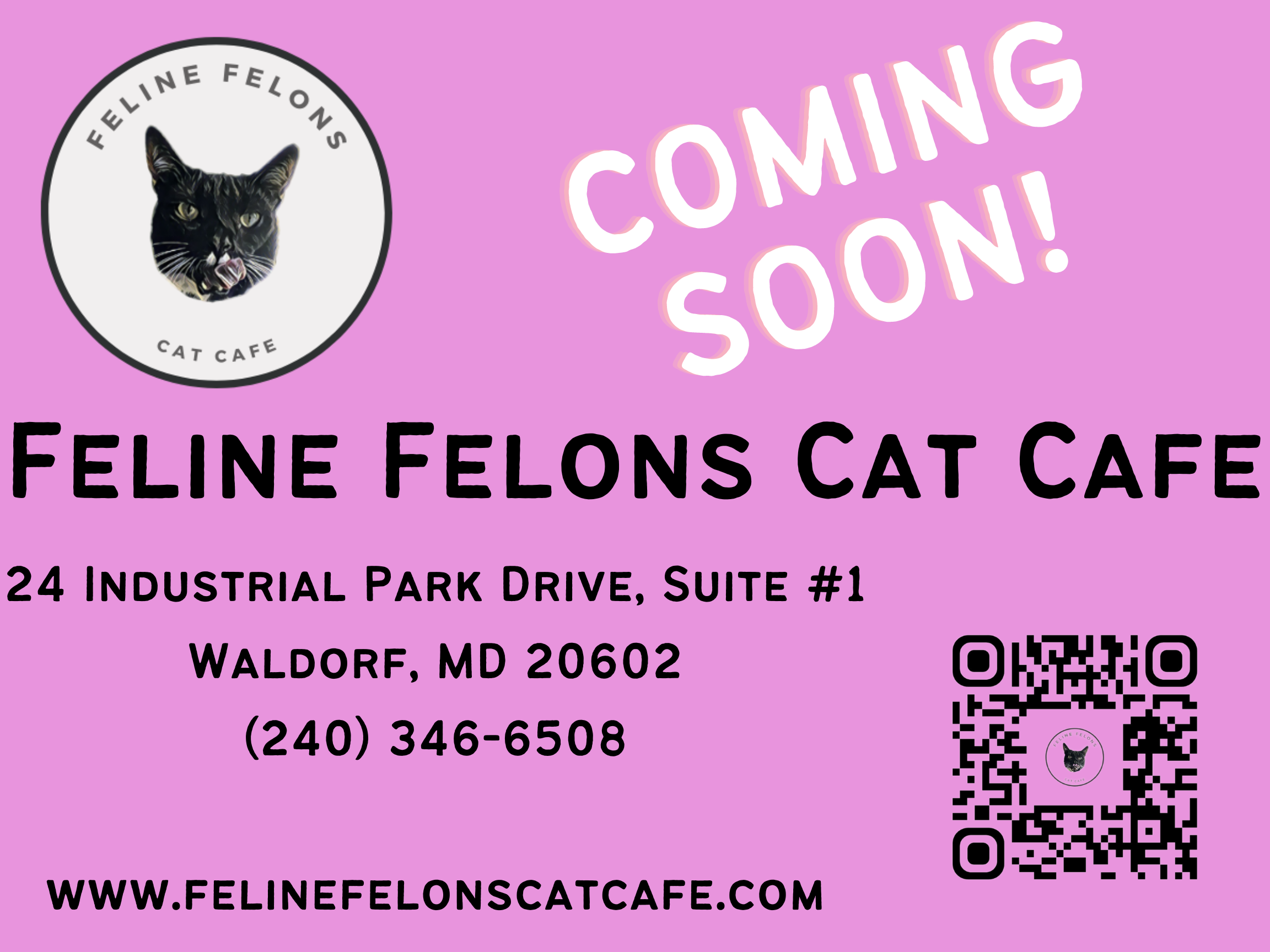 Feline Felons Cat Cafe