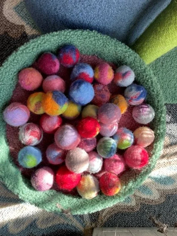 Feline Felons Cat Cafe