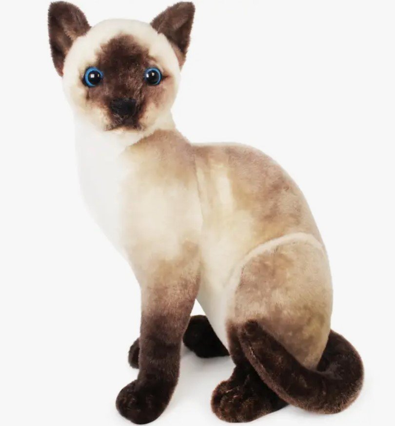 Feline Felons Cat Cafe