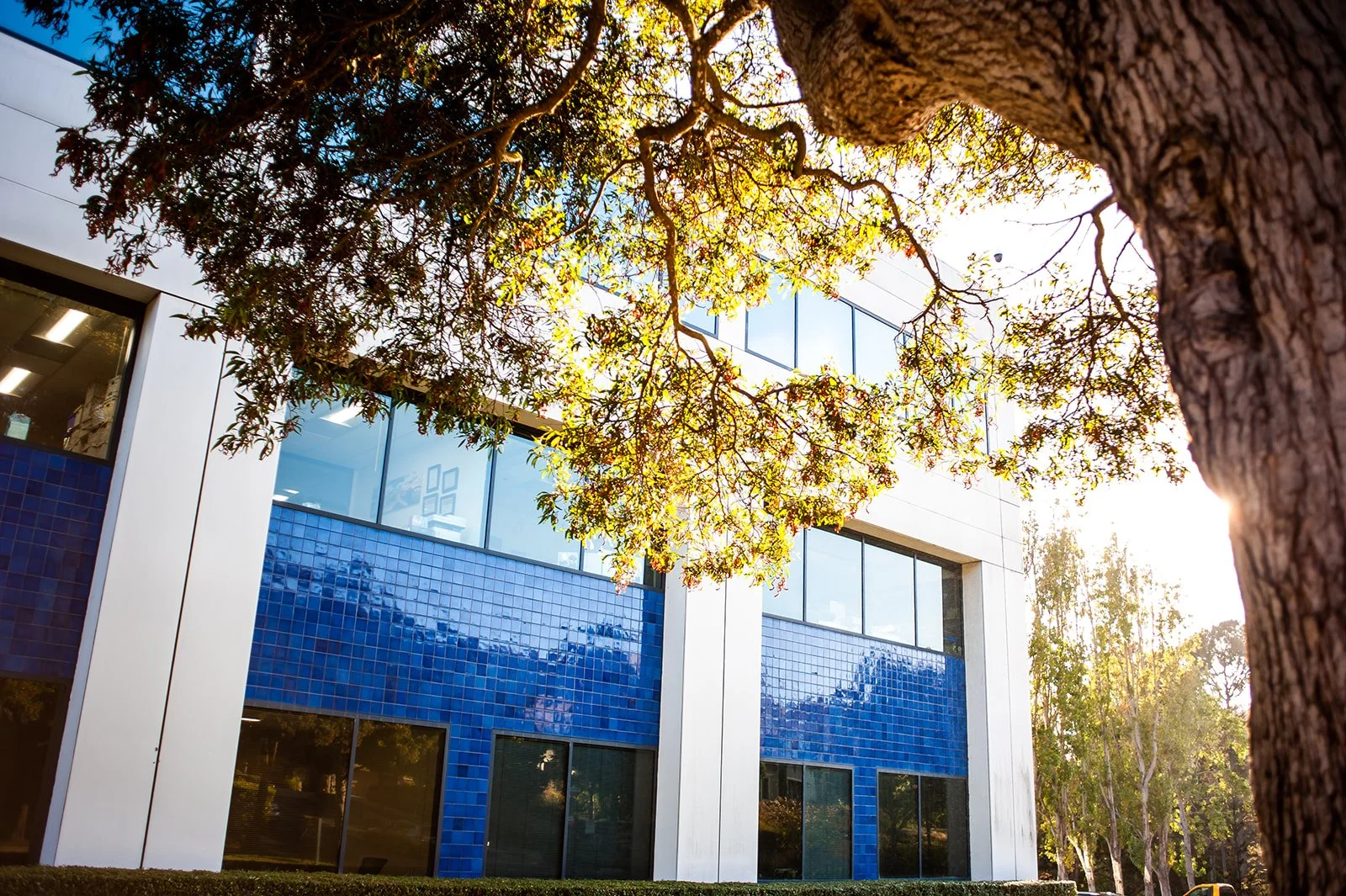 Approach — PCS Technology