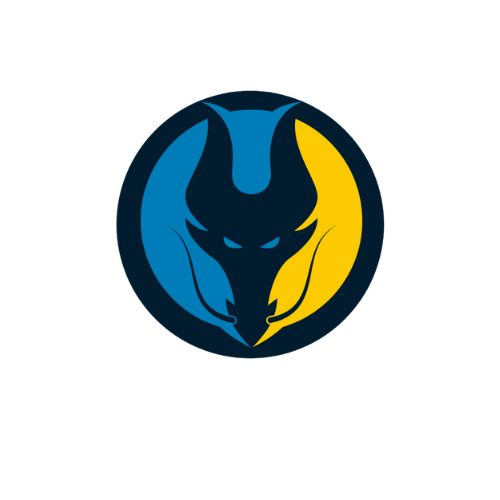Dragon ERP subject matter experts in target operating model design SAP product selection ...