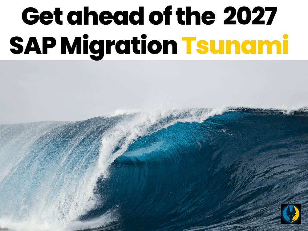 Get ahead of the 2027 SAP Migration Tsunami — Dragon ERP