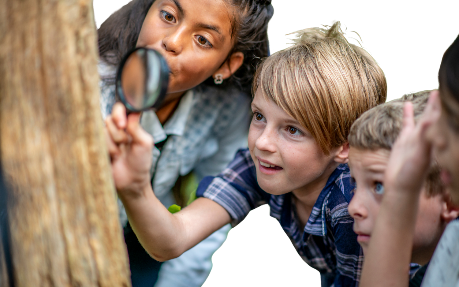 Our Programs — Cross Education