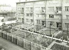 Gallery 3 — Patmore Cooperative Ltd